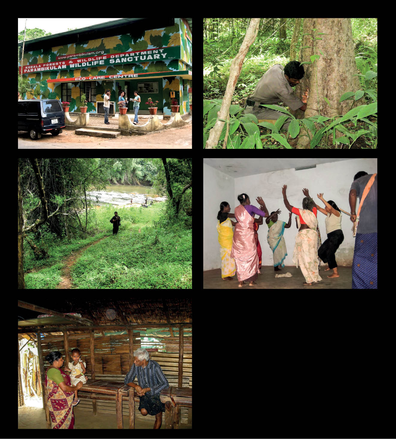 GNY :: Parambikulam: Forest dwellers in charge